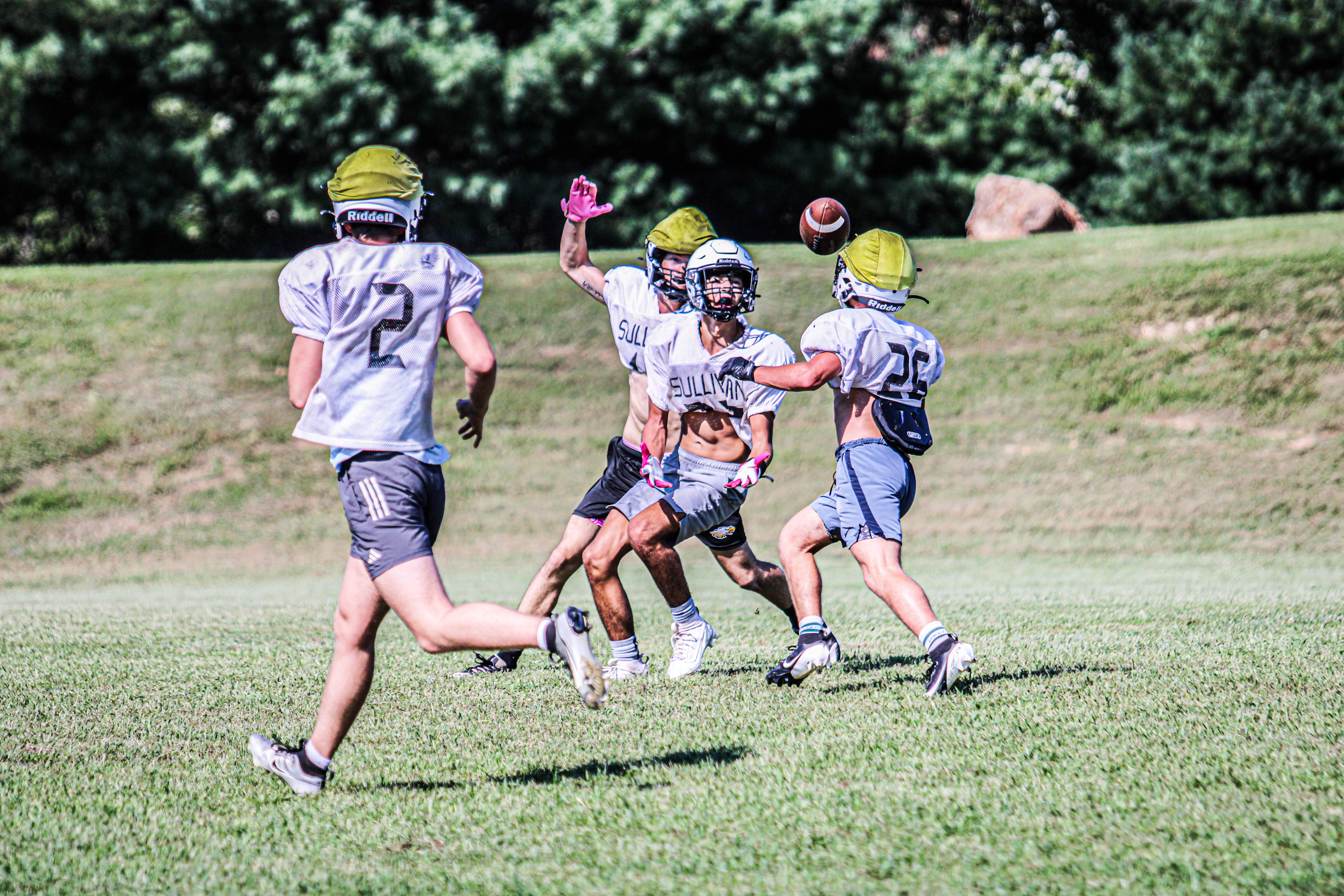 Football Takes On New Turf In 2024 | Sullivan Independent News