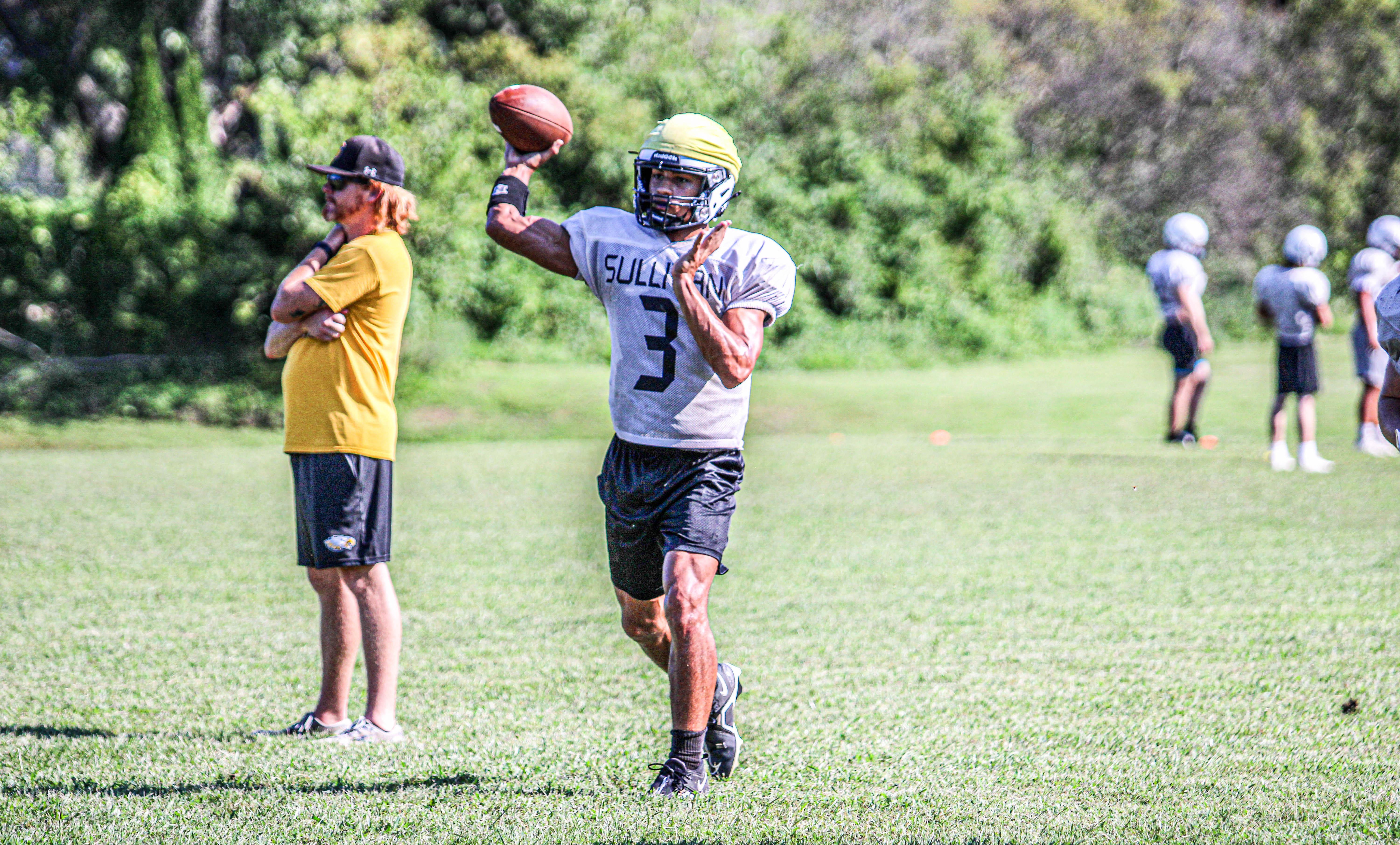 Football Takes On New Turf In 2024 | Sullivan Independent News
