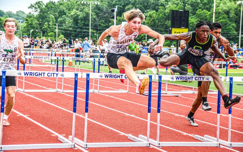 Track And Field Crosses The Finish Line At State | Sullivan Independent ...